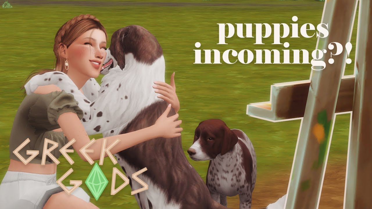 Growing our house and household 🐶🏹 | GGLC Artemis #4 (The Sims 4) - YouTube