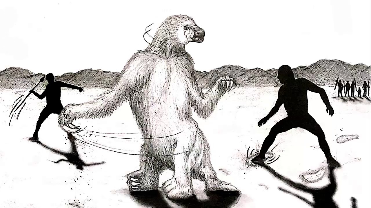 Megatherium Human