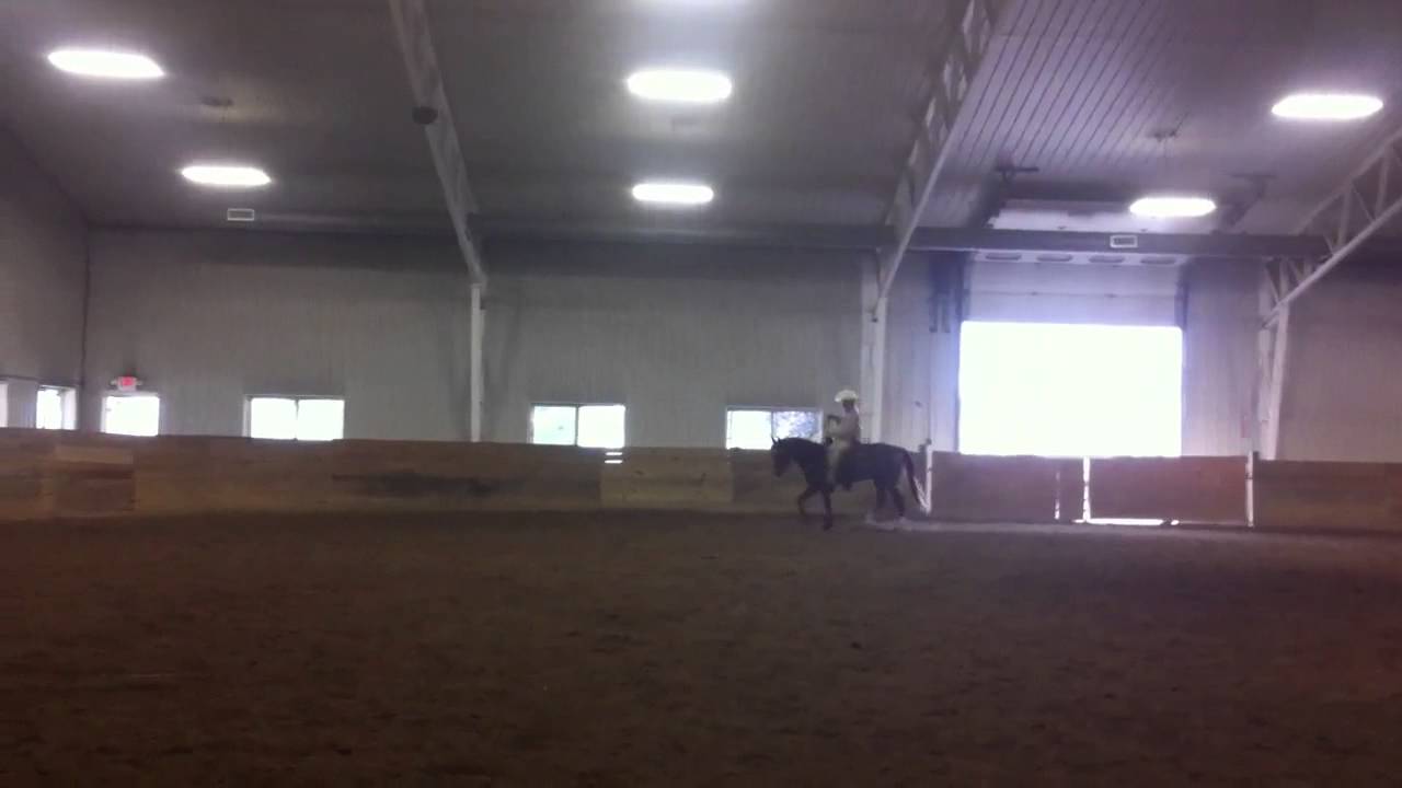 Steve Lantvit & Shizzle Whizzle warming up at ARHA WORLD SHOW - YouTube