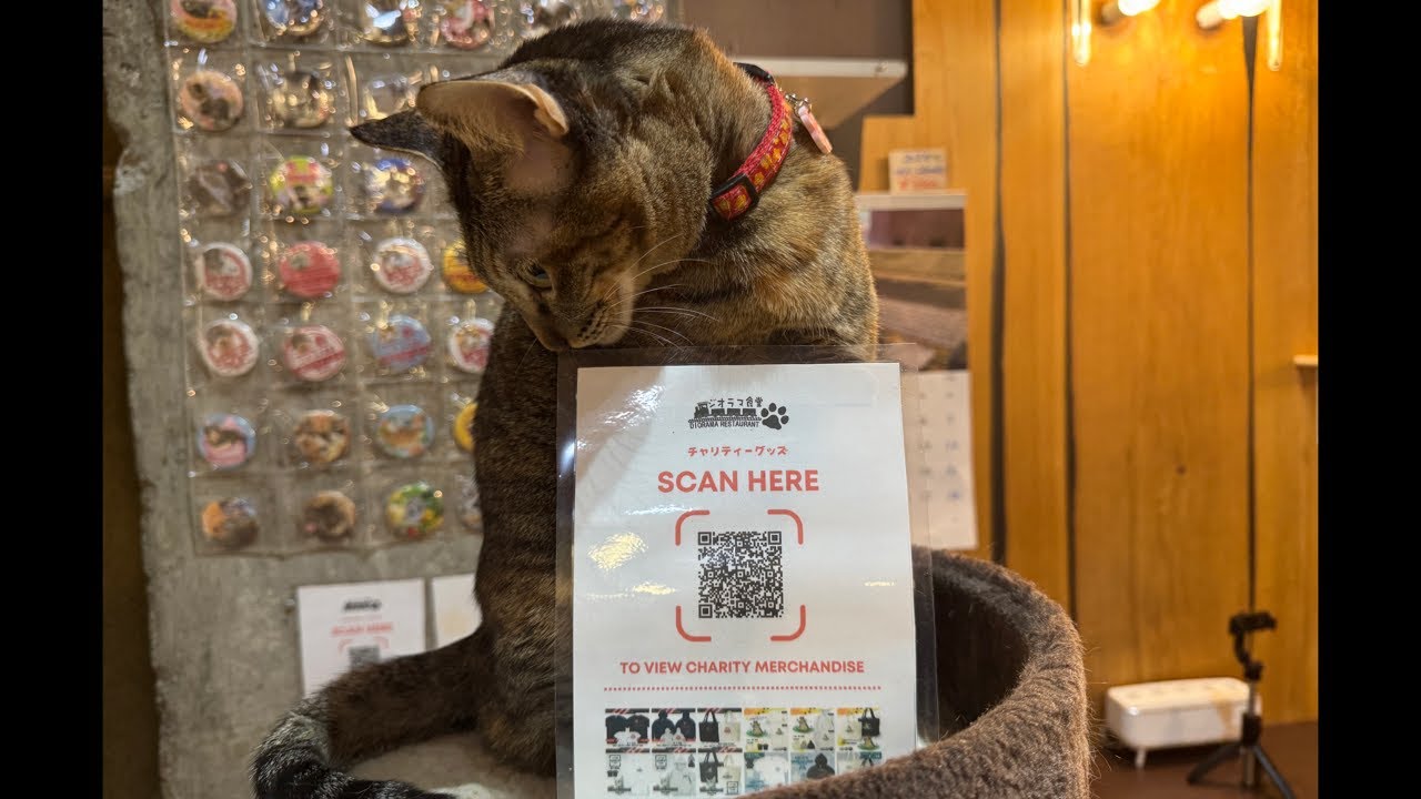 This is the QR code for our charity goods. Please take a look! - YouTube