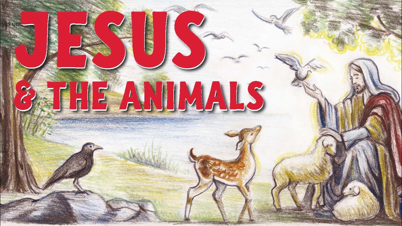 What did Jesus say about Animals? - YouTube