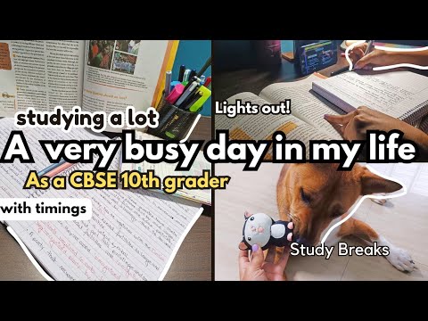 A busy day in my life as a CBSE 10th grader|Hectic Study vlog#study ...
