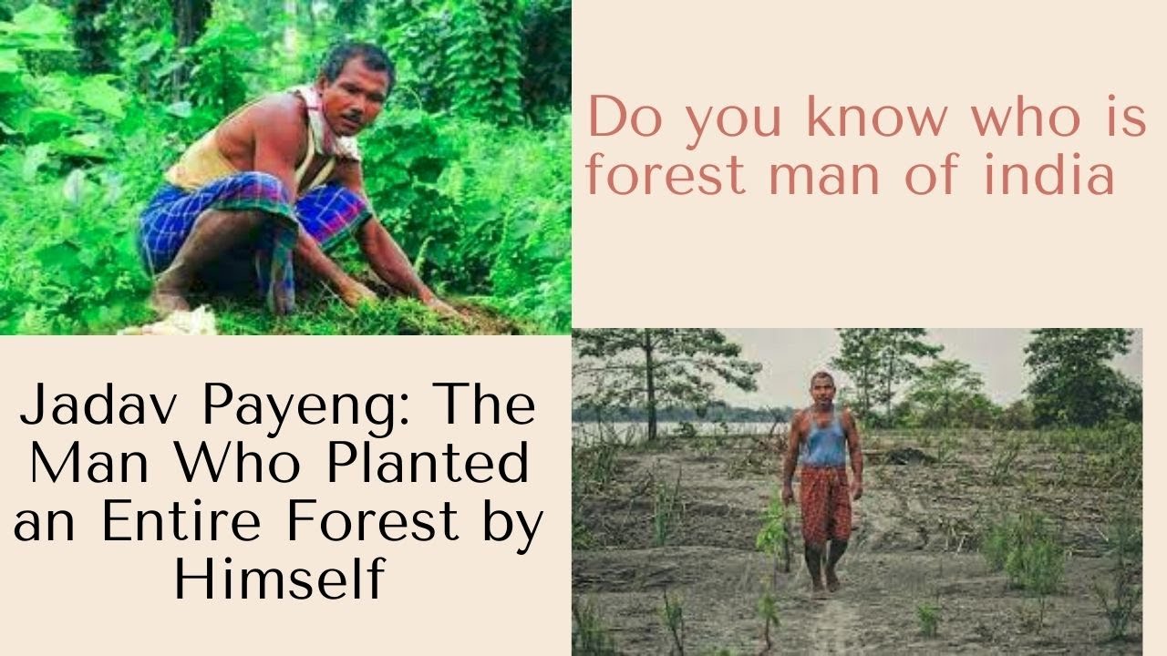 DO YOU KNOW WHO IS THE FOREST MAN OF INDIA. JADAV PAYENG PLANTED AN ...