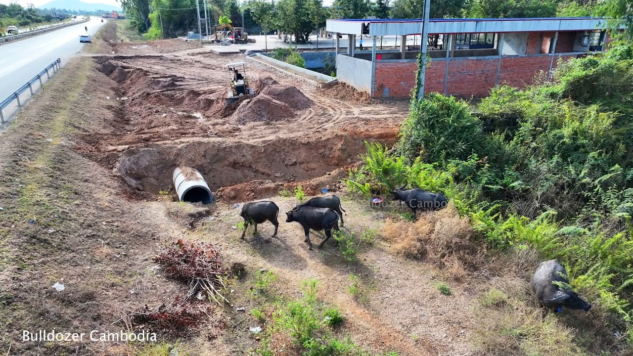 Video of pouring soil to remove the drain and the drainage system ...