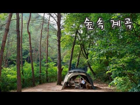 Sommercamping: Abkühlung im Bach und viel Schatten genießen | Koreanischer Camping-Vlog