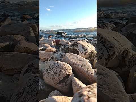 Viaje De William Rivero A Ciudad De Montevideo Uruguay. - YouTube