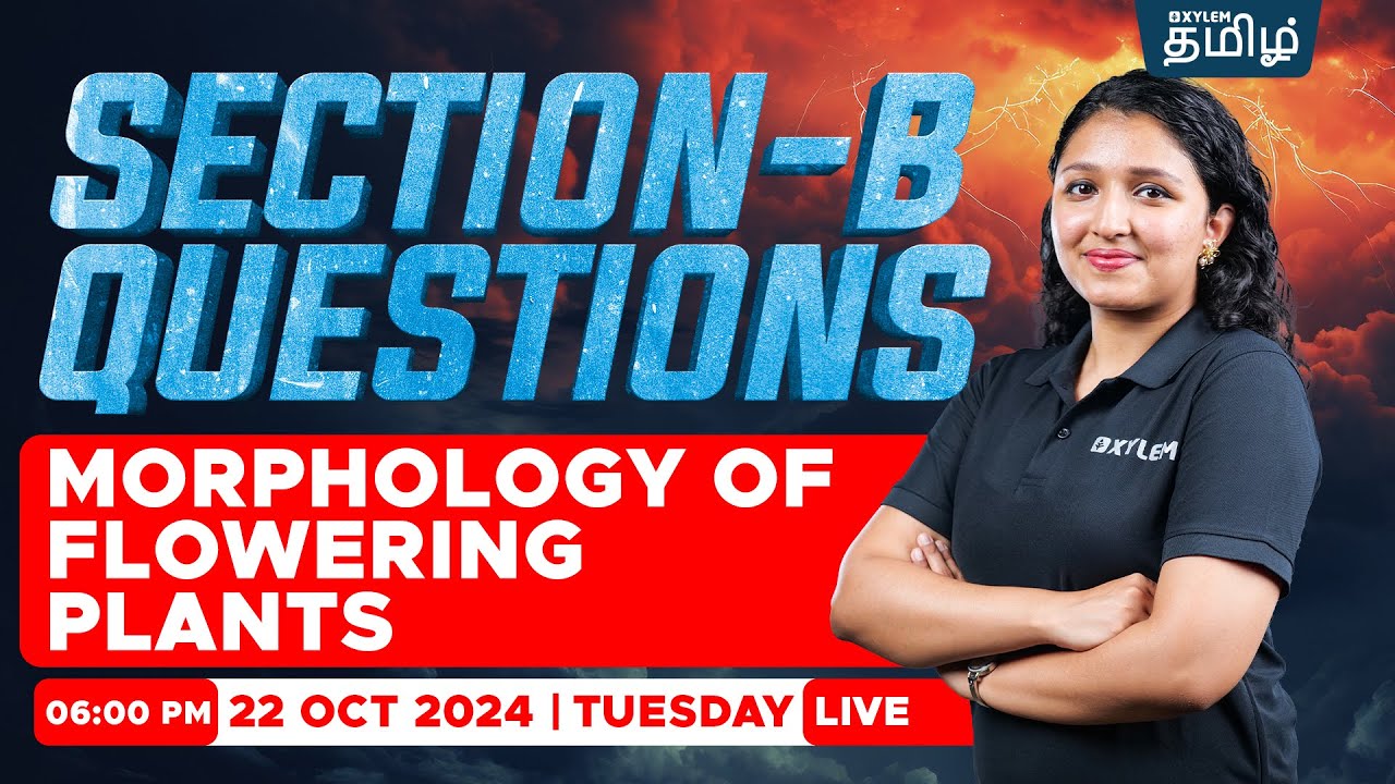 🔥Section B Questions🔥: Morphology of Flowering Plants | Ashima maam ...