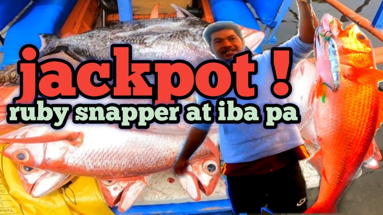 "jackpot "RUBY SNAPPER AT IBA PA | HNDI NA NAVIDEOHAN LAHAT SA SOBRANG ...