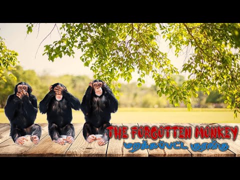 The forgotten Monkey - மறக்கப்பட்ட குரங்கு - YouTube