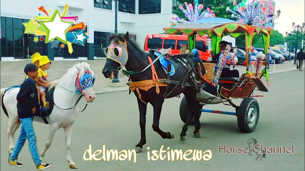 naik kuda delman Meikarta🐎/kuda🦄/kuda dokar/delman istimewa/lagu anak ...