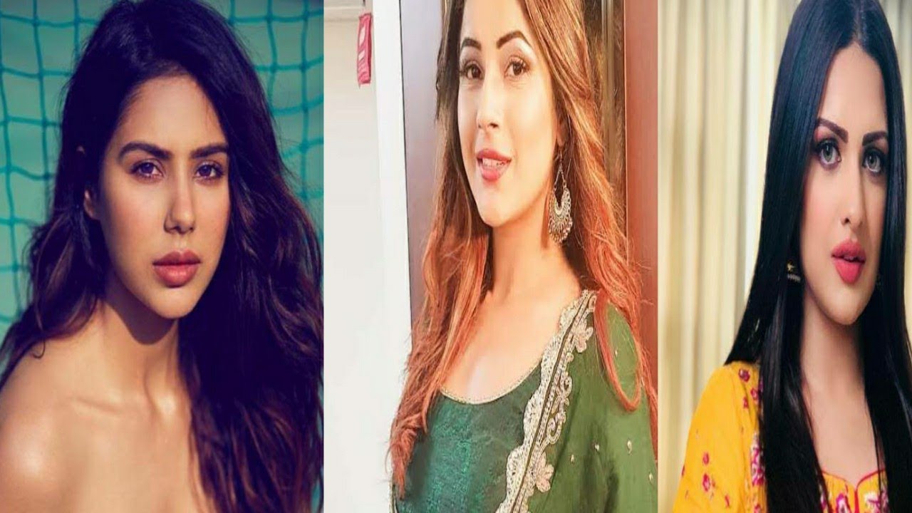 Top 15 Beautiful Punjabi Models - YouTube