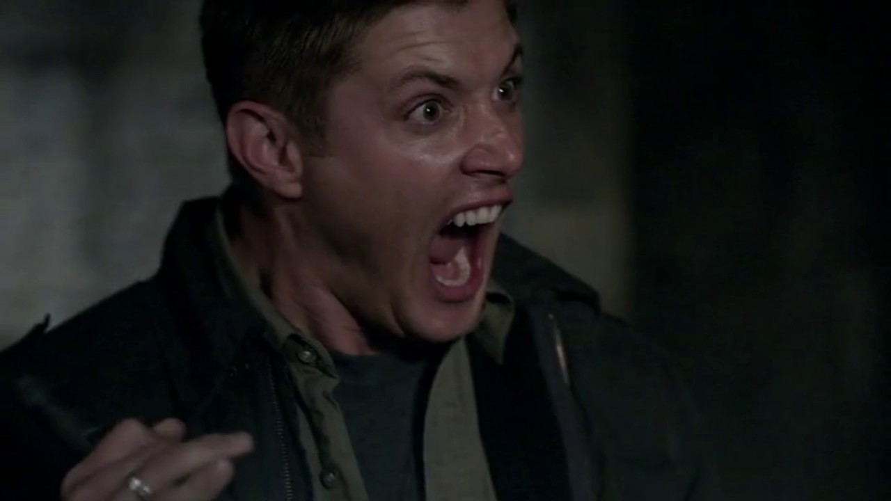 Dean is scared of a cat HD Yellow Fever - YouTube