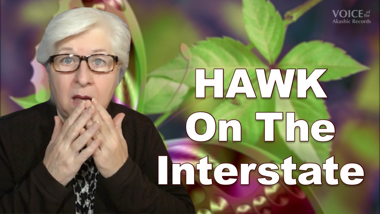 Hawks Message From The Angels | Channeled Akashic Records - YouTube