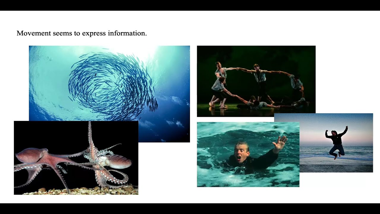 CPAR, Dancing With Robots: Expressivity in Natural and Artificial Systems, Amy La Viers, 1/27 ...