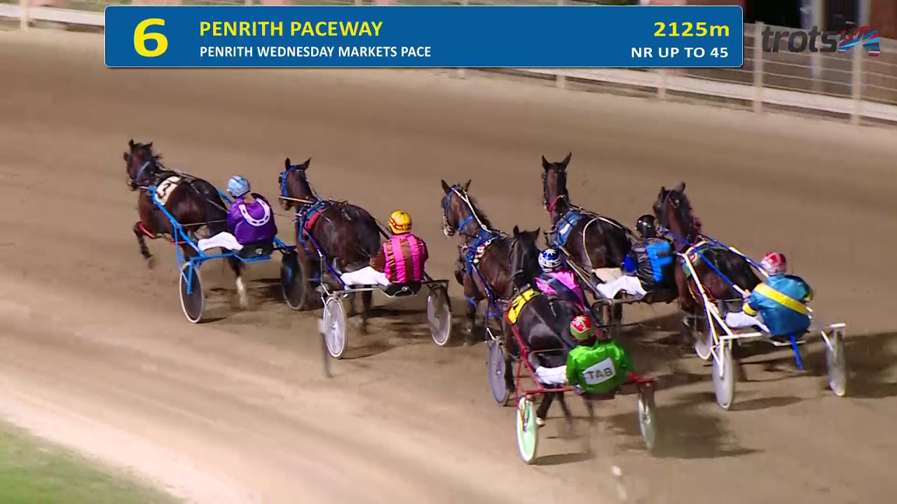 PENRITH - 08/08/2019 - Race 6 - PENRITH WEDNESDAY MARKETS PACE - YouTube