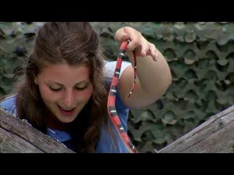 Best Wild Animal Prank 1 Hour Compilation | Just For Laughs Gags - YouTube