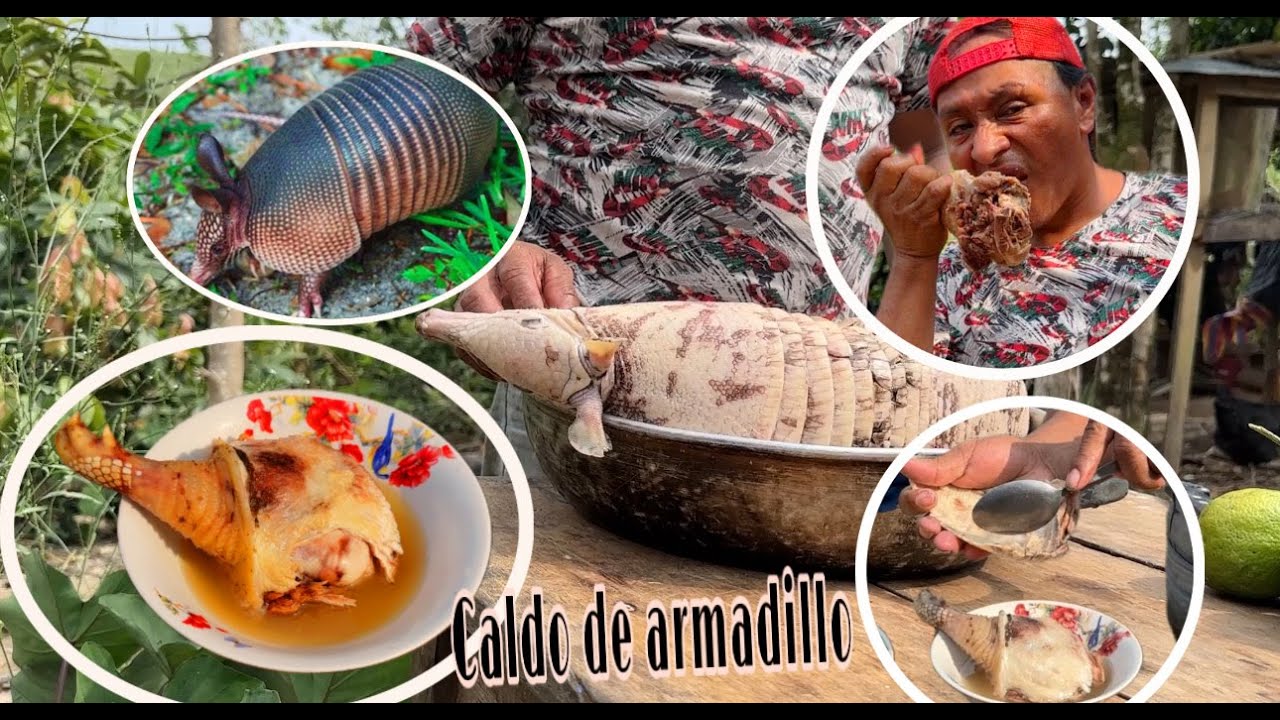 Preparando el delicioso caldo de armadillo o cachicamo / Don Luchito ...