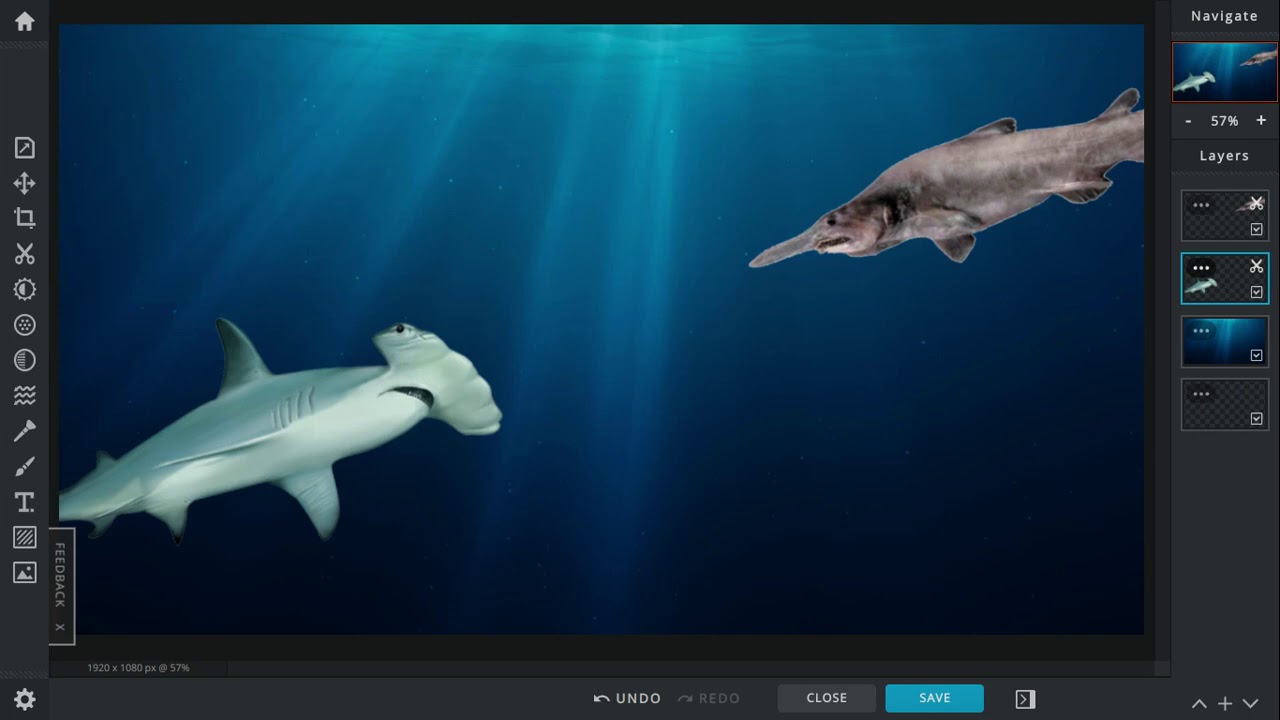 Great Hammerhead Shark vs Goblin Shark - YouTube