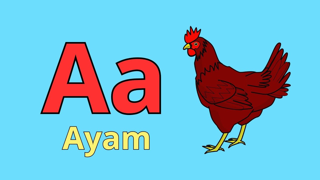 Lagu ABCD Nama Hewan | Belajar Huruf & Hewan untuk Anak-Anak - YouTube