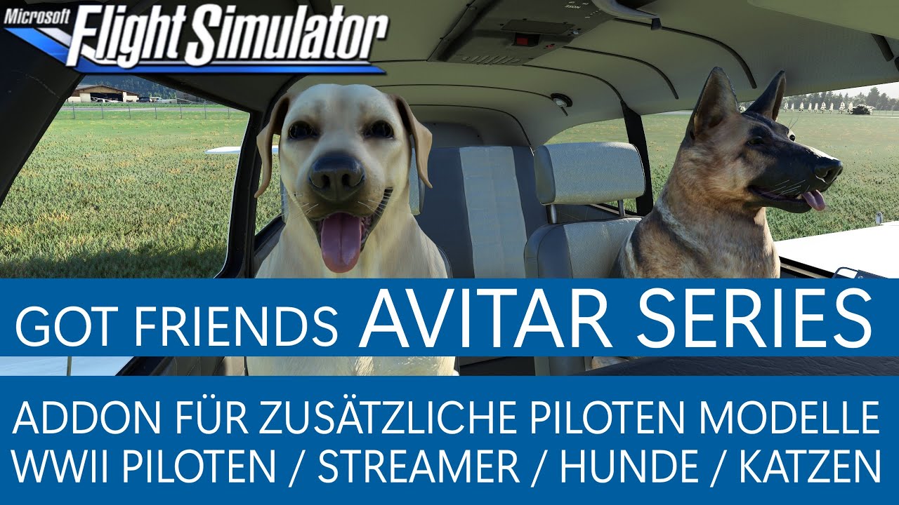 GotFriends - AVITAR Series - WWII Piloten/ Streamer / Hunde & Katzen ...