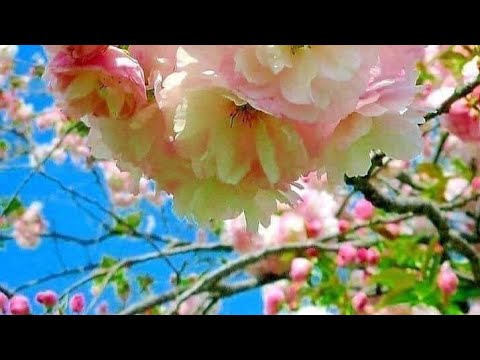 HYPER TONIGHT LS MUNA LAPAGAN DIKITAN FREE - YouTube