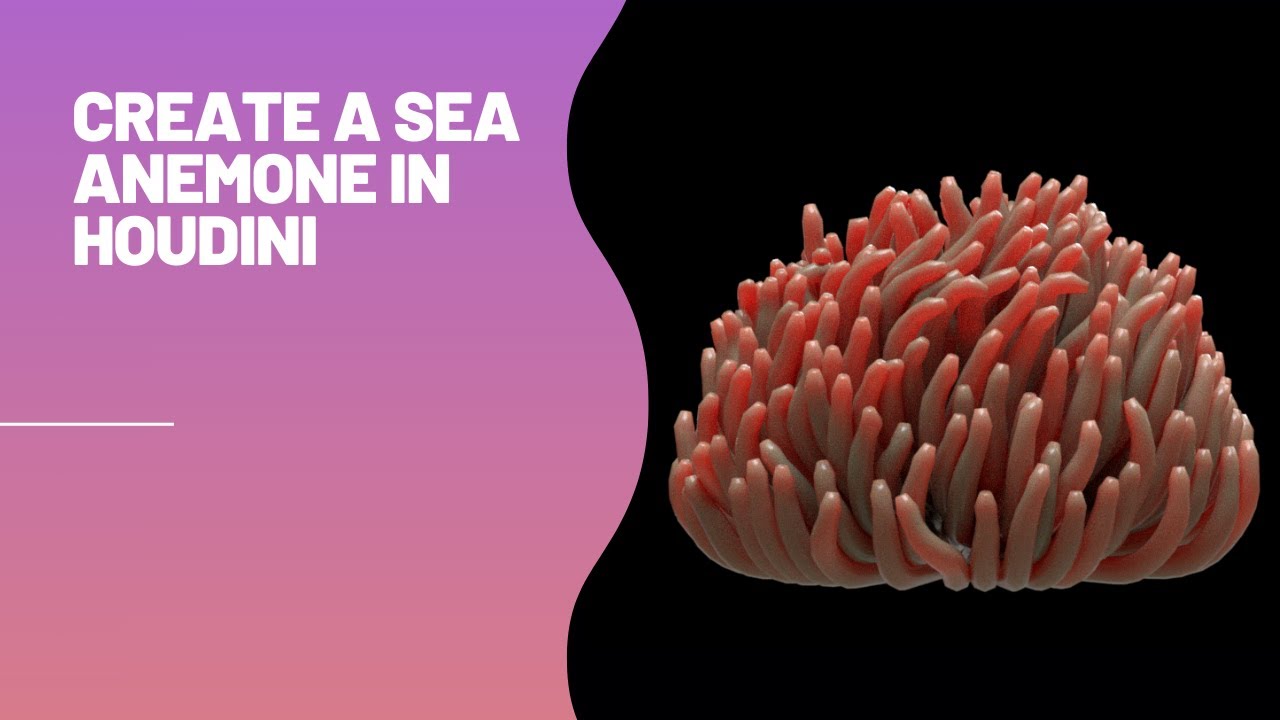 Create A Sea Anemone in Houdini - YouTube