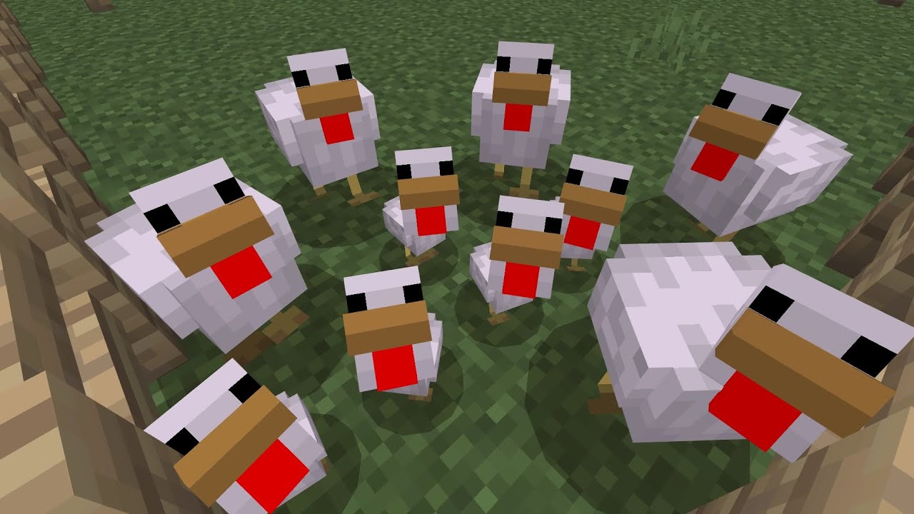 L'invasion de poules !! - Ep4 - Minecraft - YouTube