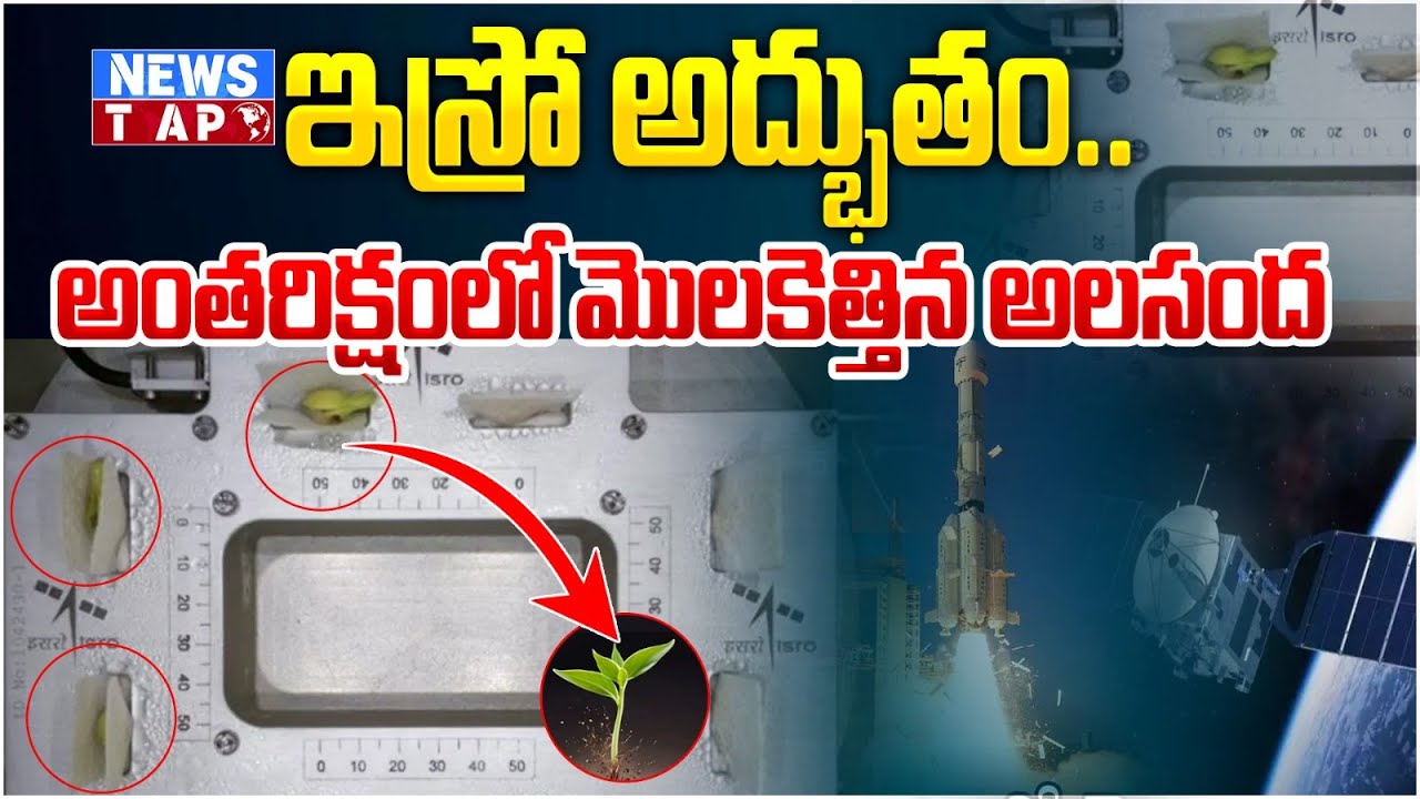 ISRO's Incredible Achievement: Alasanda Sprouts in Space | News TAP ...