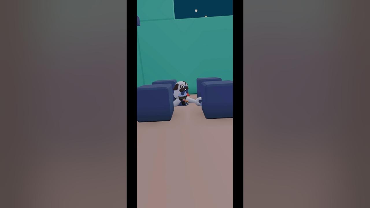 Sigma training | Tito #oculus #yeeps #vr #funny - YouTube