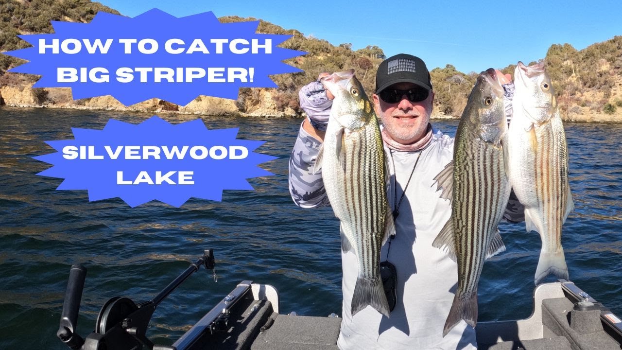 How to Catch Big Striper at Silverwood - YouTube