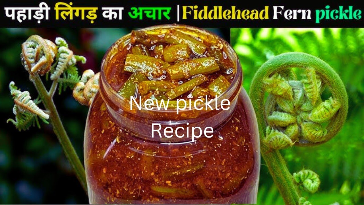 पहाड़ी लिंगड़ का आचार | Kasrod Ka achar | Fiddlehead Fern Pickle ...
