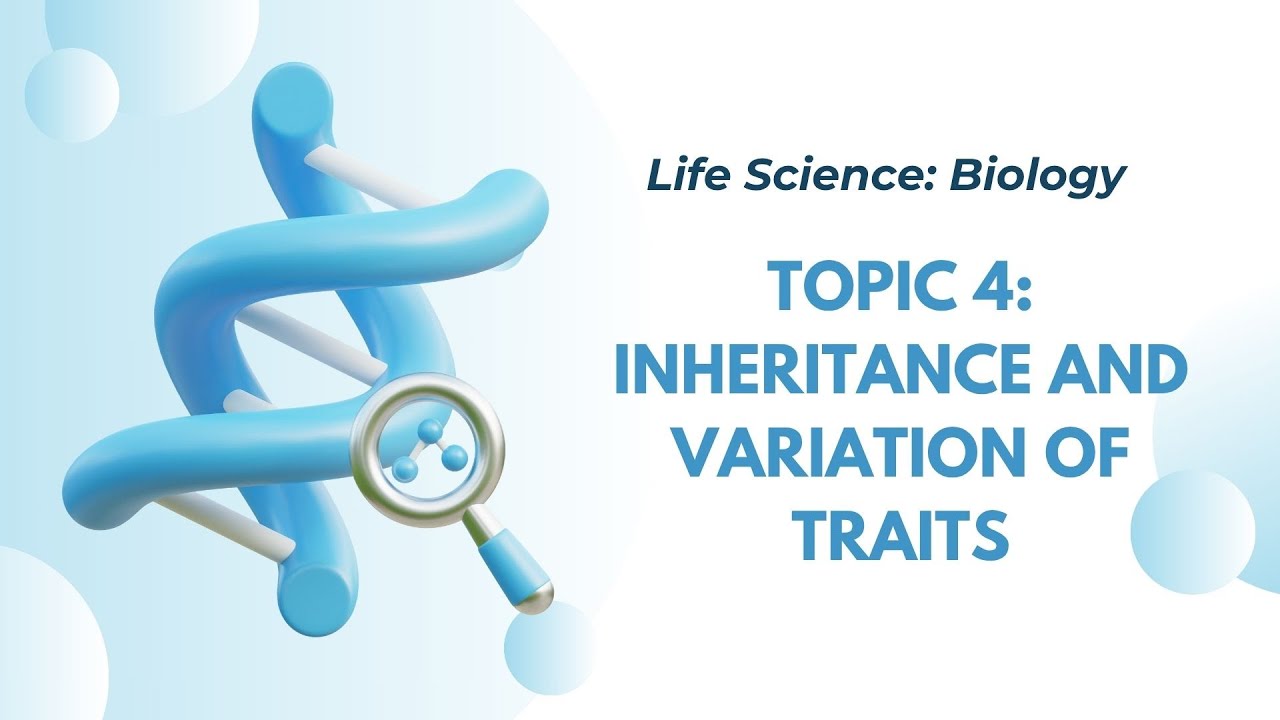 Topic 4: Inheritance and Variation of Traits - YouTube
