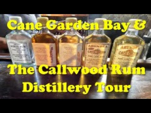 Cane Garden Bay & The Callwood Rum Distillery Tour - Sailing SV Cabo ...