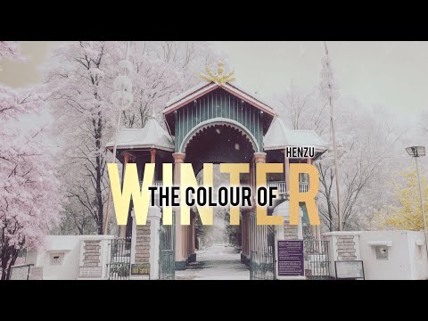 The Colour of Winter (Non-Copyright Music) - HENZU (Motivational)