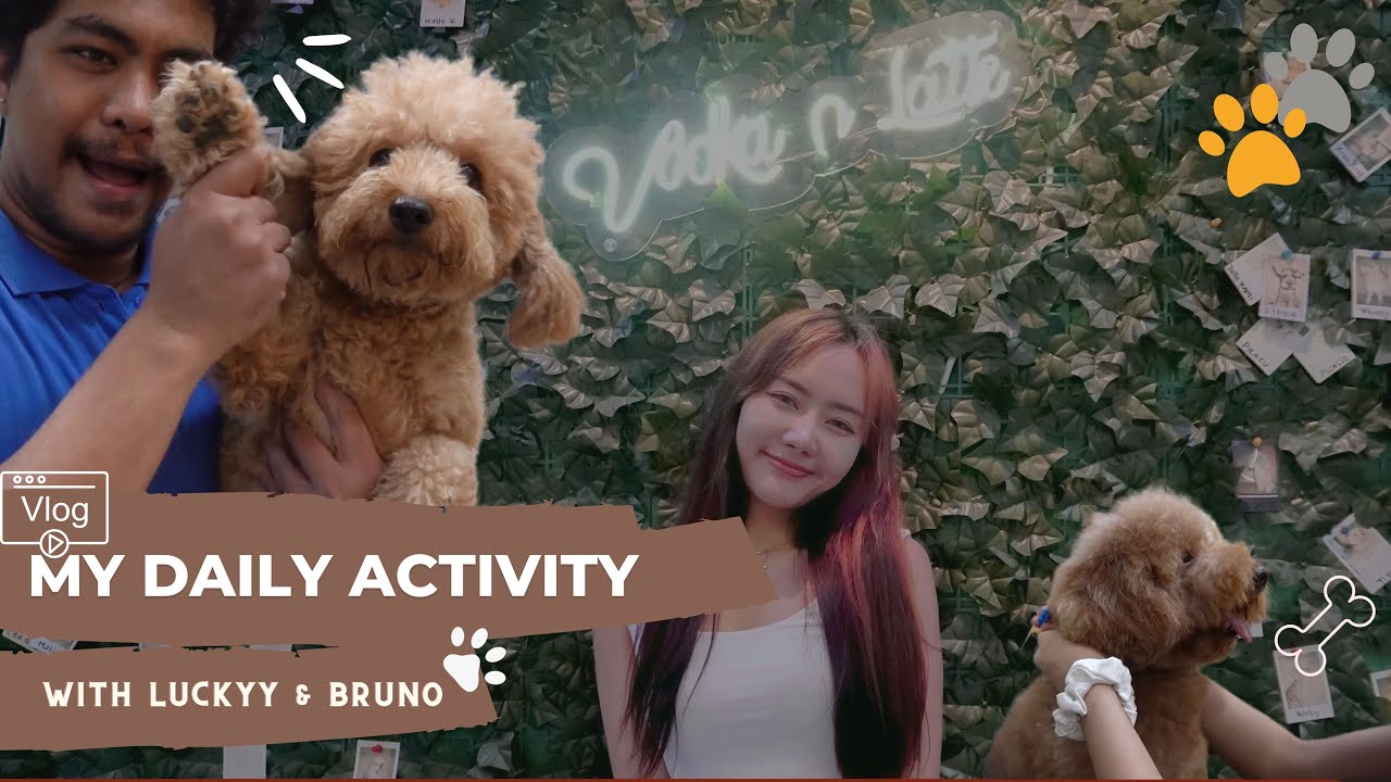 Alasan Poodle Wajib Grooming || Putri Maudy - YouTube
