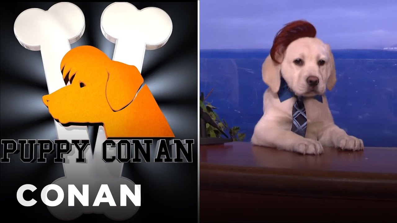 Puppy Conan V Featuring Puppy Sia & Puppy Larry King | CONAN on TBS ...
