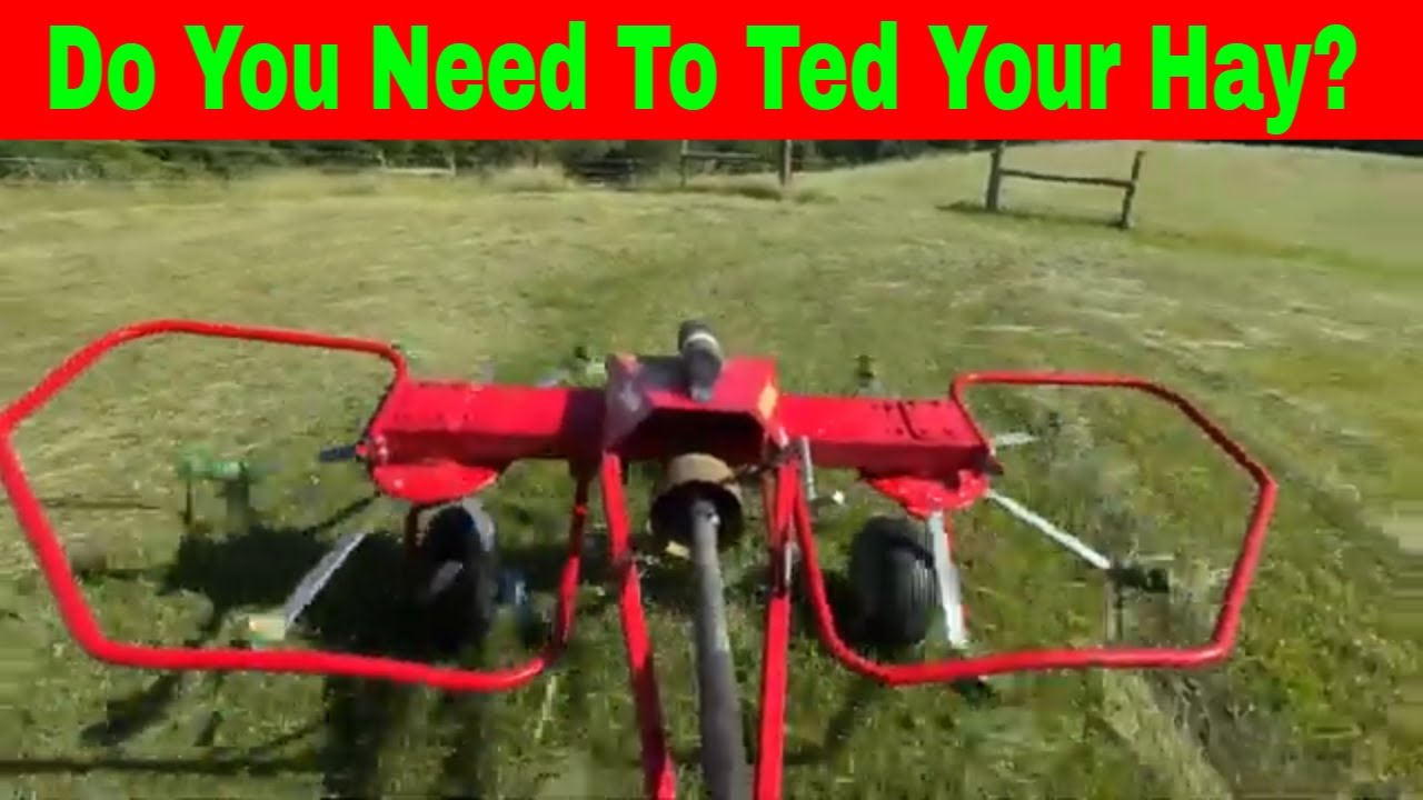 Why I Ted My Hay #382 - YouTube