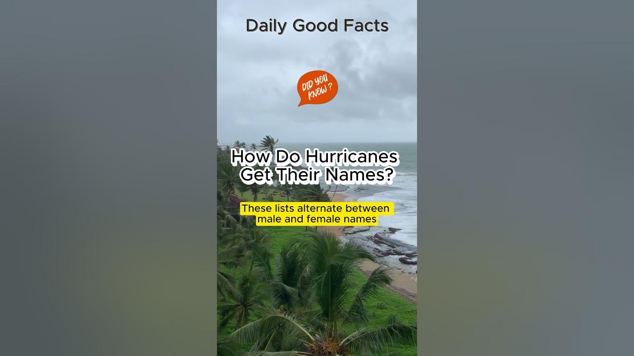 How Do Hurricanes Get Their Names? #shorts #facts #hurricane #nature ...
