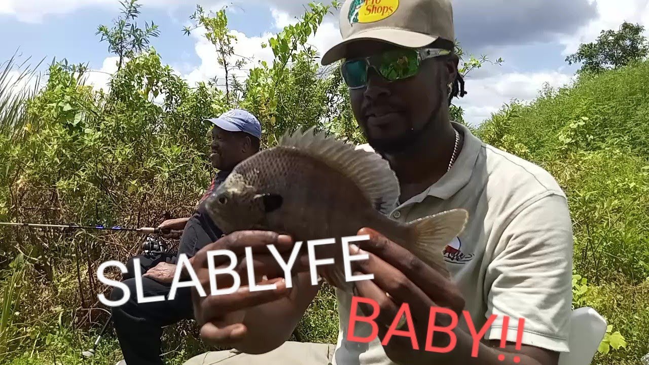 Big Bluegill and Shellcracker Fishing in Sarasota Florida at Nathan ...