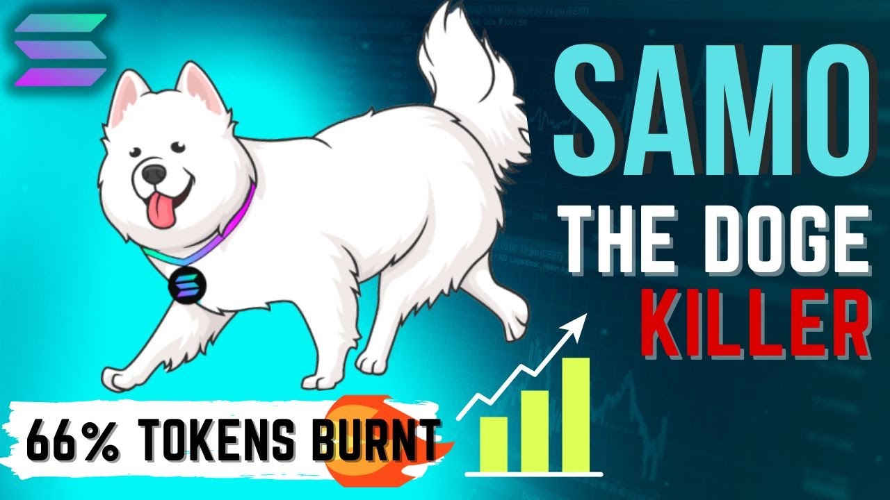 Solana built SAMO crypto is DOGE Killer | SAMO Coin race to $1 🐾 - YouTube