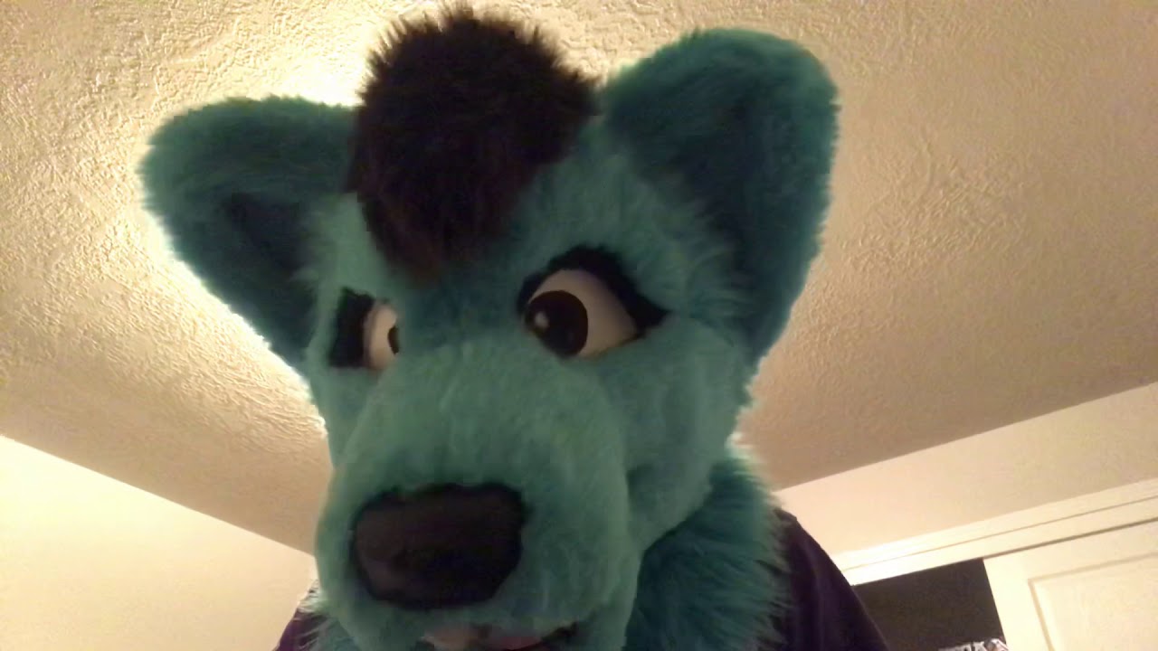 Life Update Number 2! - YouTube