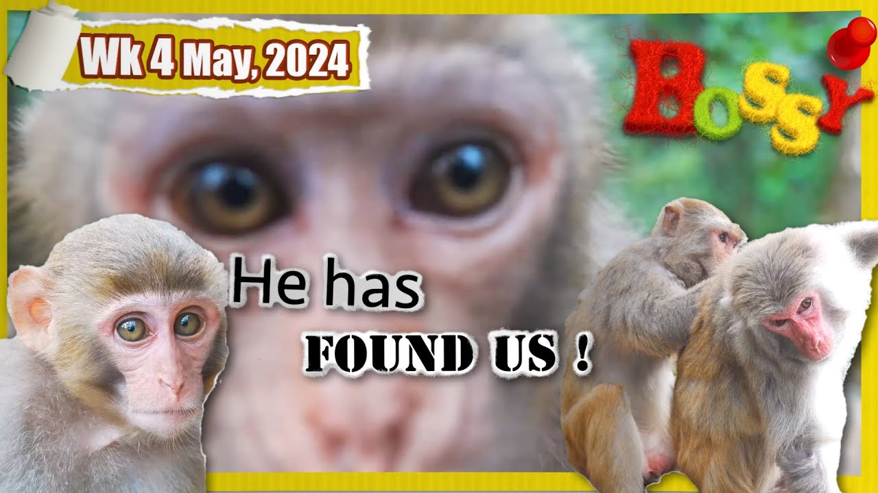 On the path 😱less trodden again I - The encounter ☺️ - YouTube