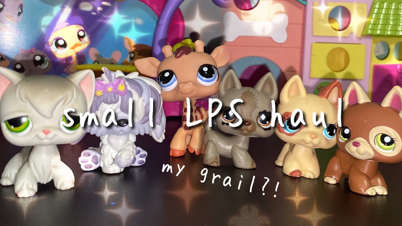 small LPS haul from eBay & instagram - YouTube