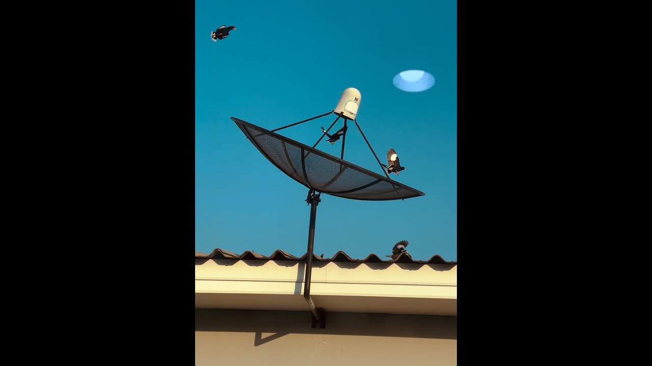 Circle (Video) - YouTube