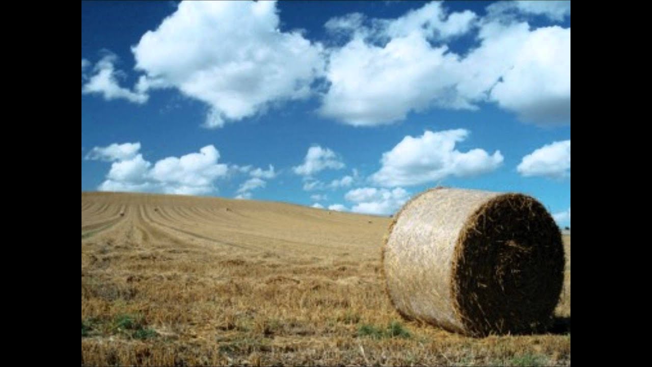 Amarillo Sky by Jason Aldean - YouTube