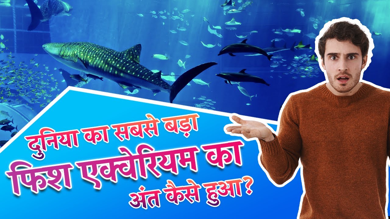 How Worlds Biggest Fish Tank Berlin Explosion in Hindi || Worlds ...