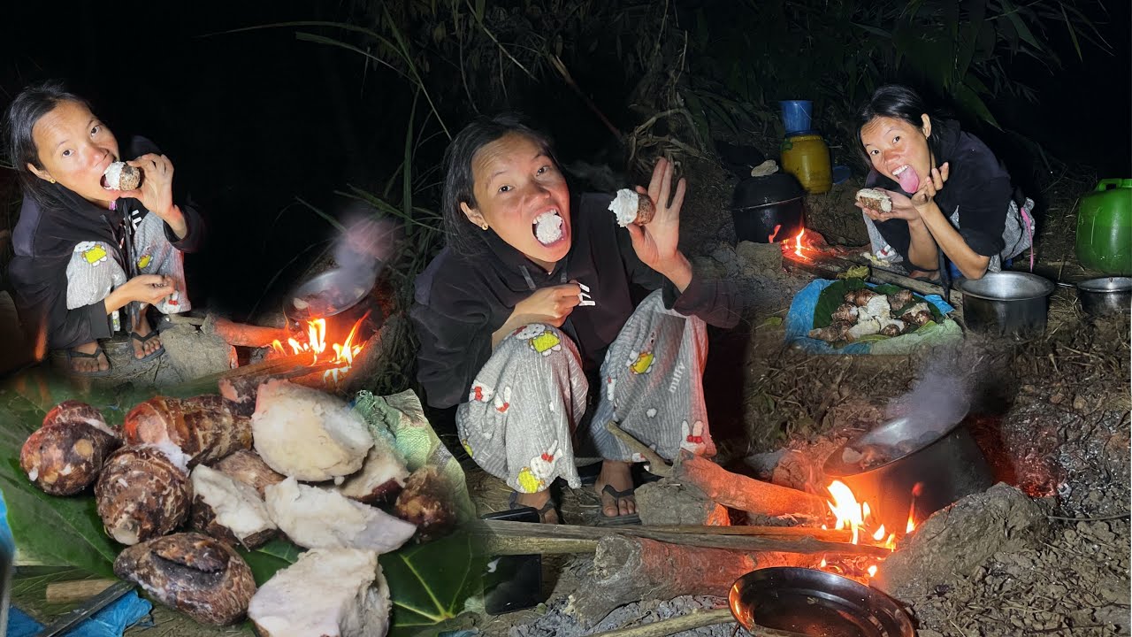 Wild Potato Searching in Forest ! Cooking And Eating ! Night Survival ...