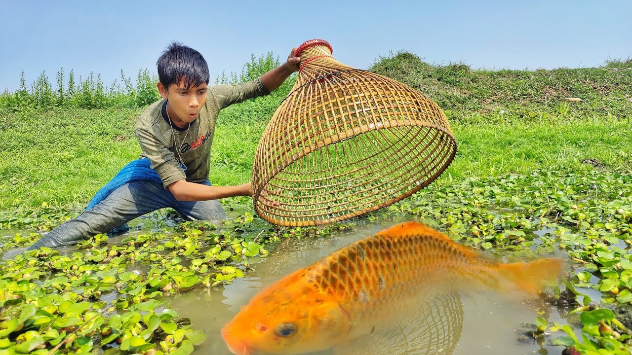 OMG!!😲 amazing fishing video ~ village smart boys catching fish by polo in beautiful natural 🥰🥰 ...