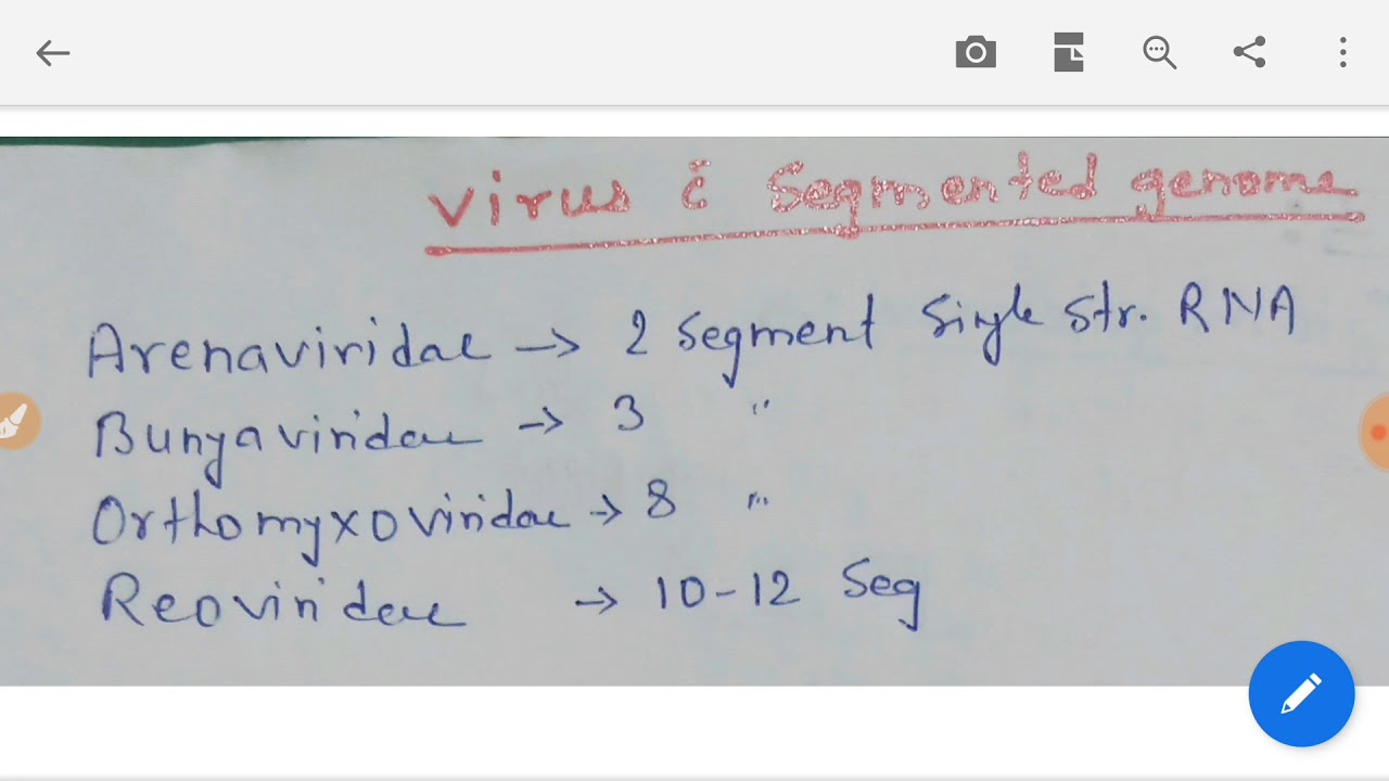 Virus Having Segmented Genome - YouTube
