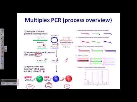 PCR types